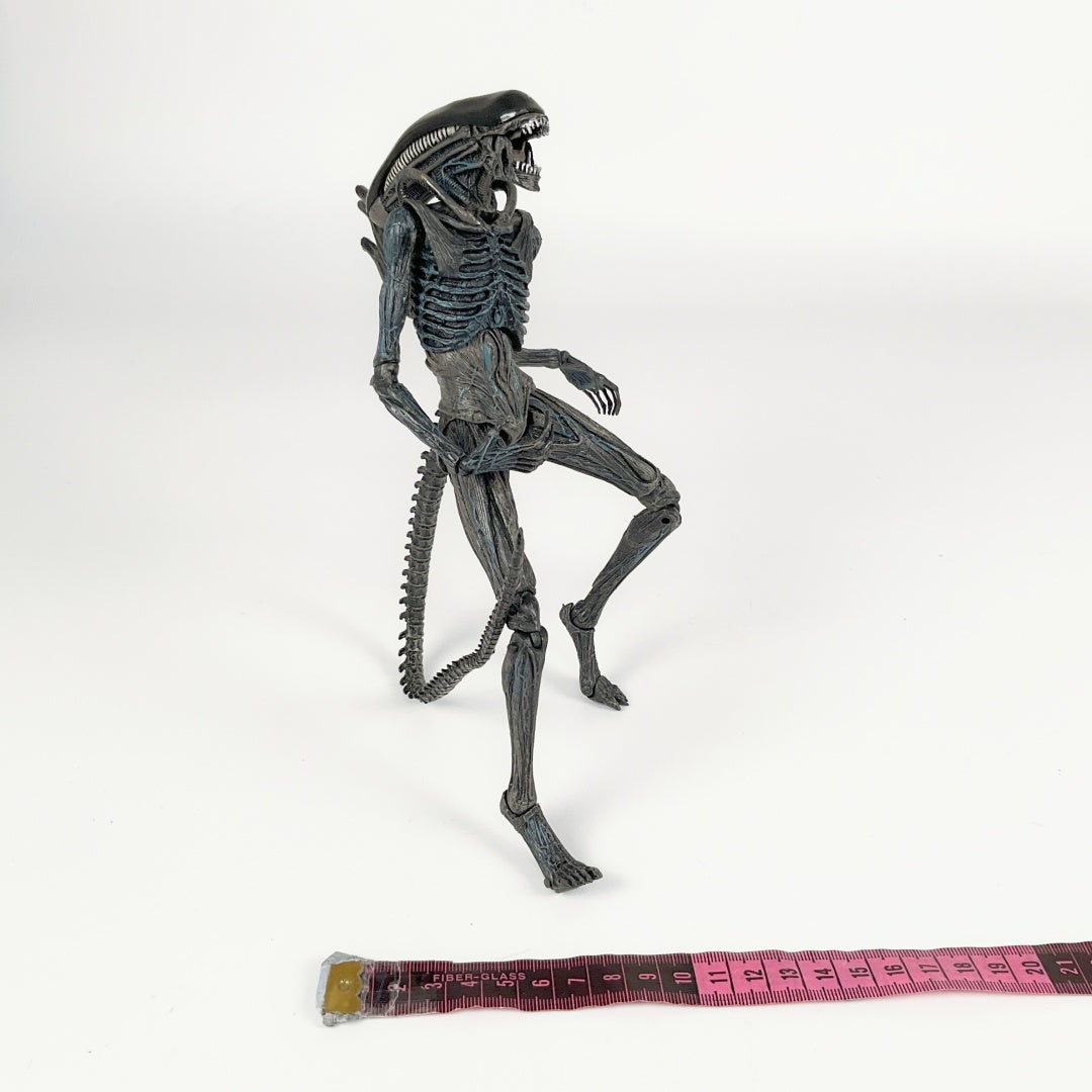 NECA Alien Covenant Xenomorph / Protomorph - Toy Action Figure Model ...