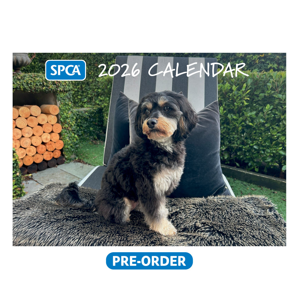SPCA 2026 Calendar - Dogs – SPCA Op Shops