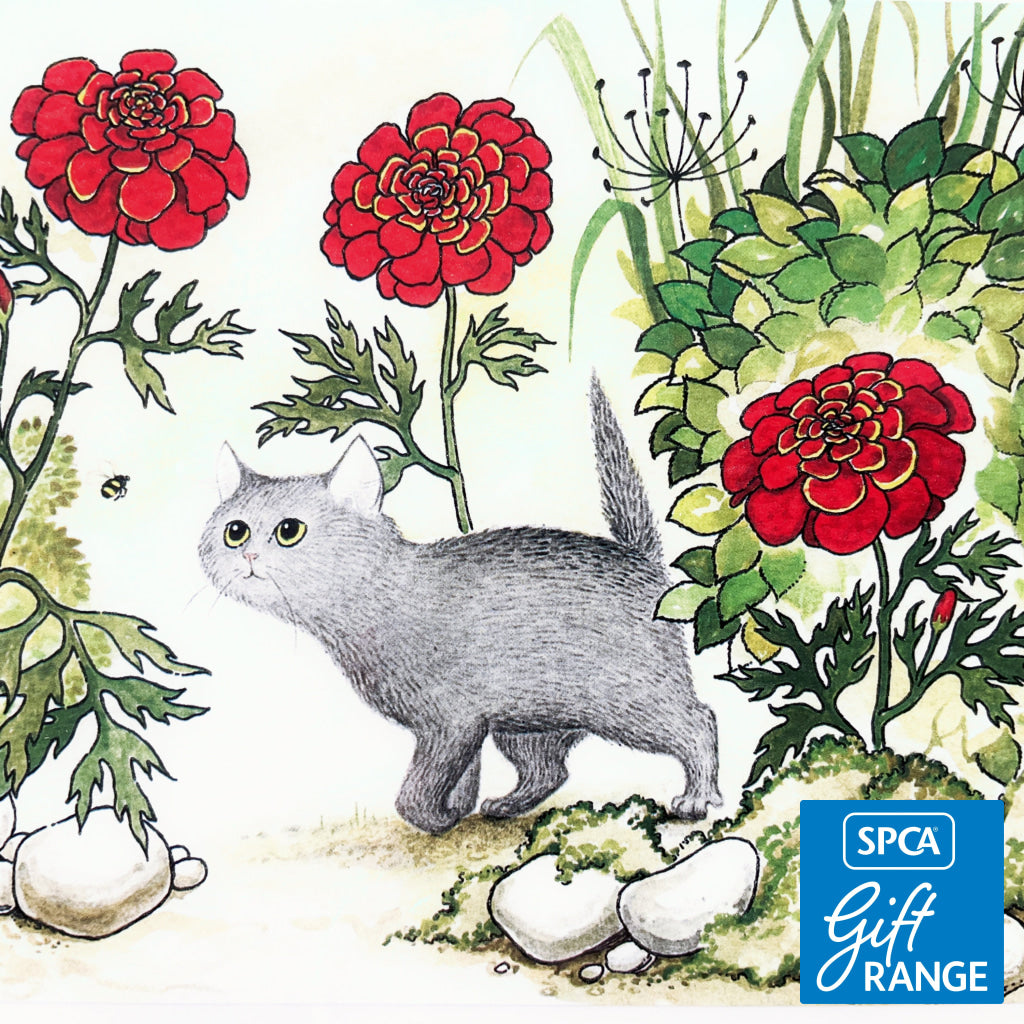 Lynley Dodd - Greywacke Jones Greeting Card – SPCA Op Shops